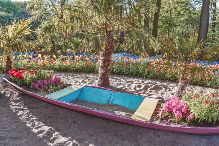 A guide to enjoy the gorgeous flower fields in The Netherlands - Casa ...